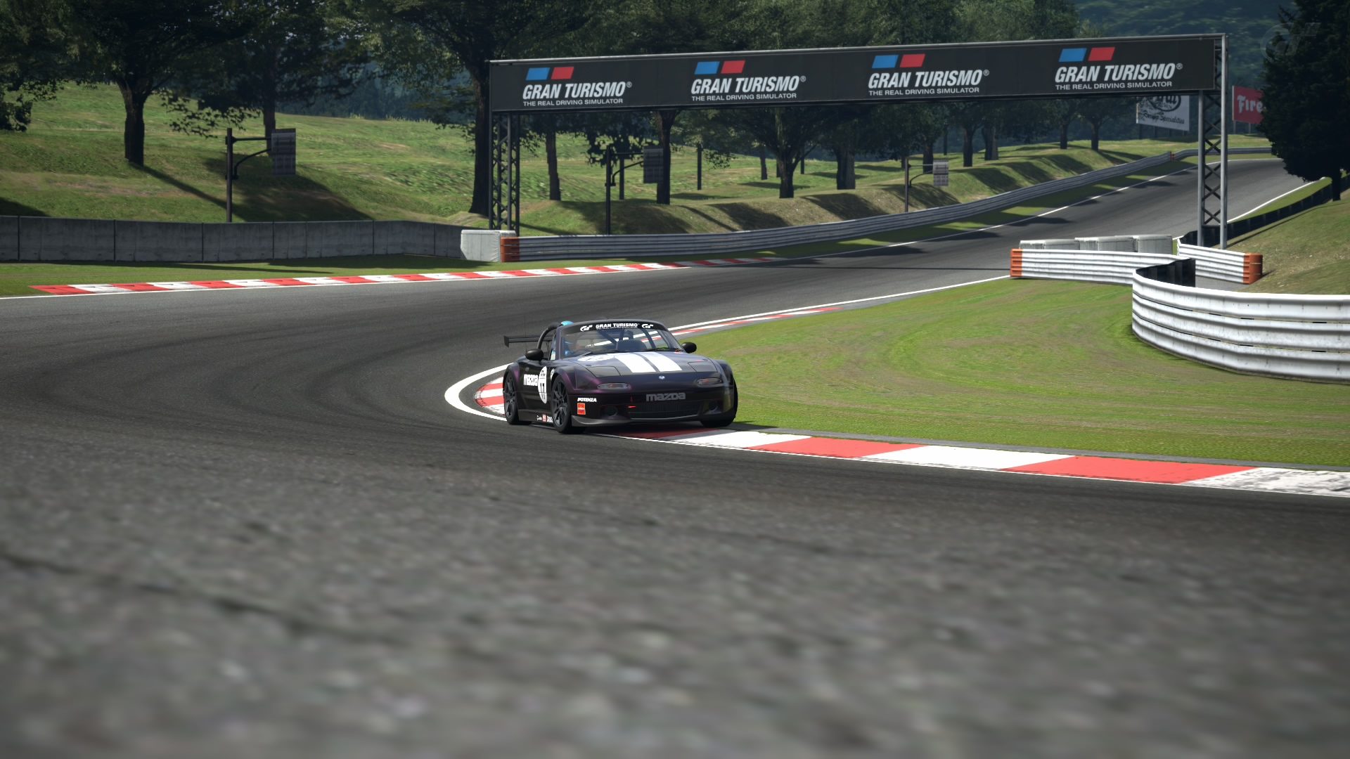 Deep Forest Raceway_18 | GTPlanet