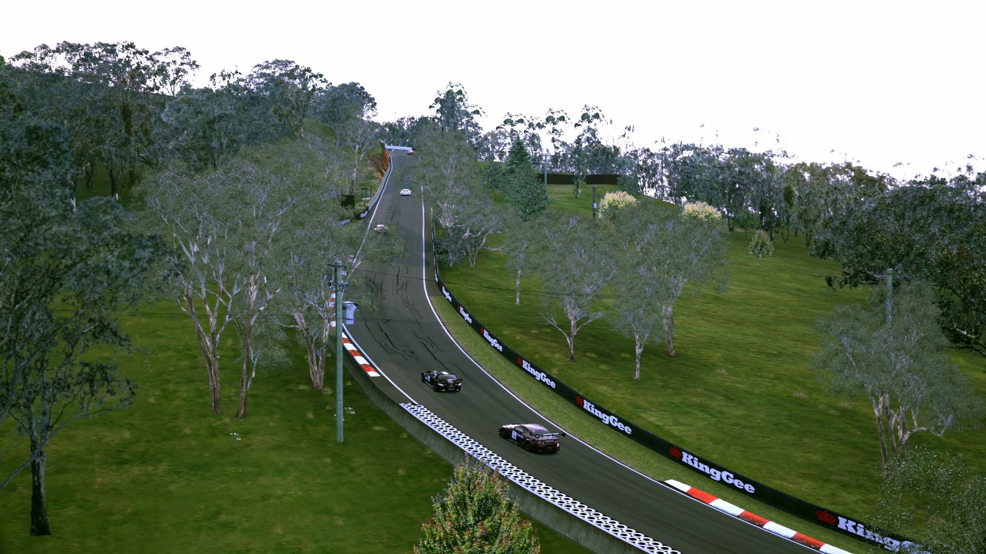 Mount Panorama Motor Racing Circuit_13 (4).jpg | GTPlanet