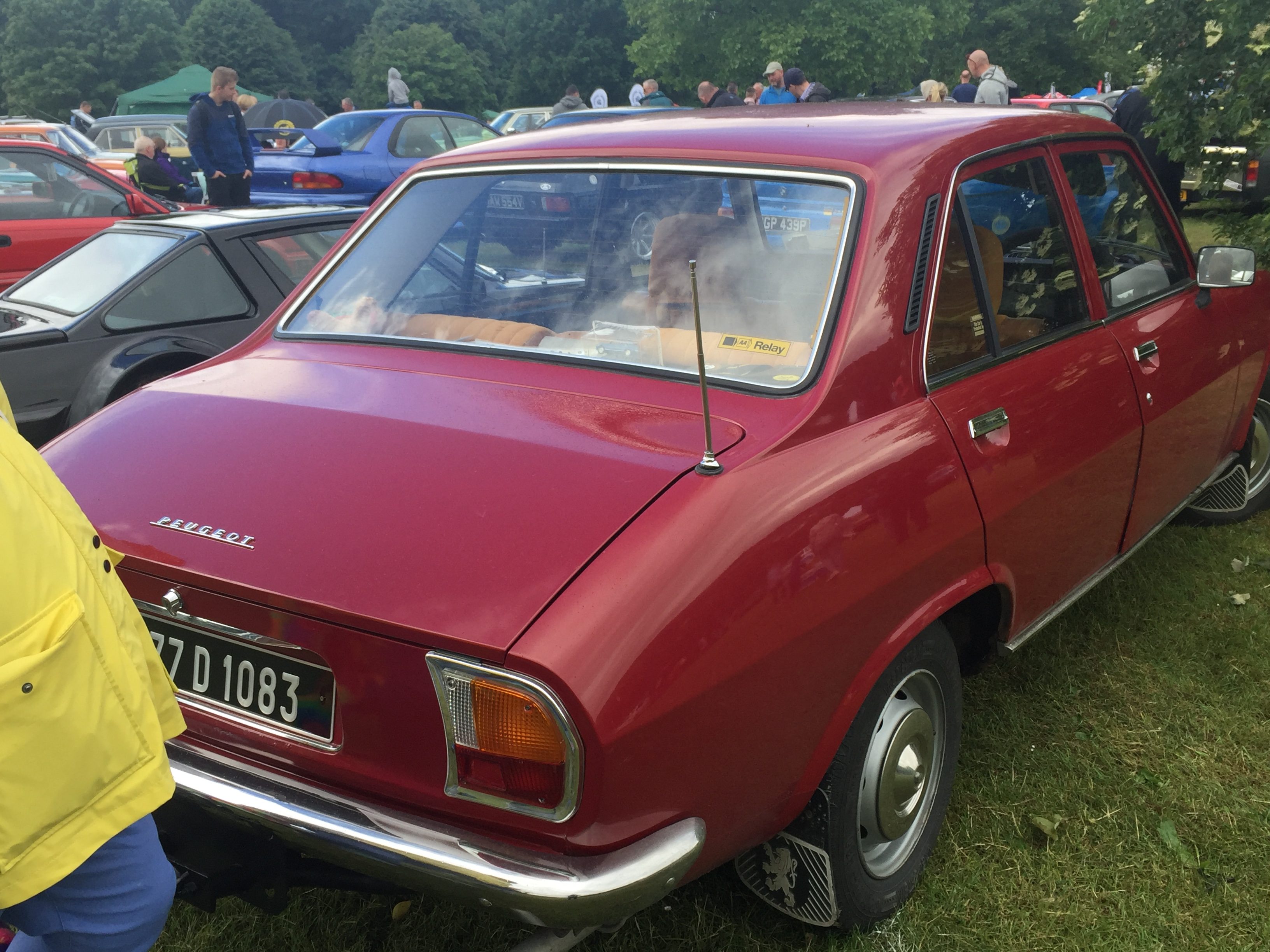 Peugeot 504 | GTPlanet