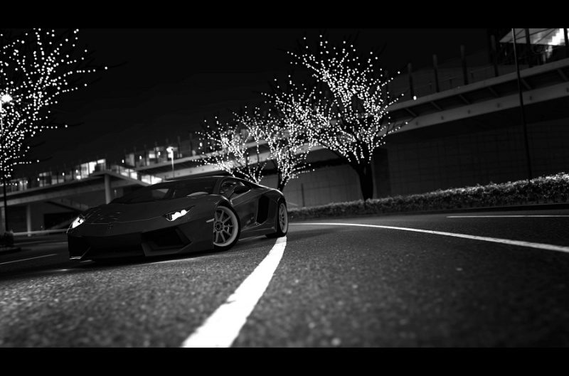 Special Stage Route 5_18_bw.jpg | GTPlanet