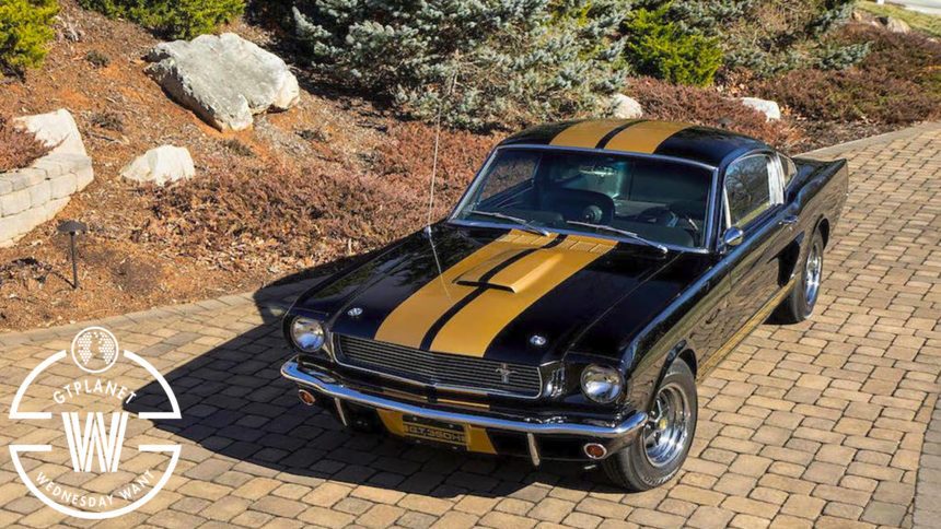 Back When Hertz Let You Rent a Racer: the Shelby Mustang GT350H – GTPlanet