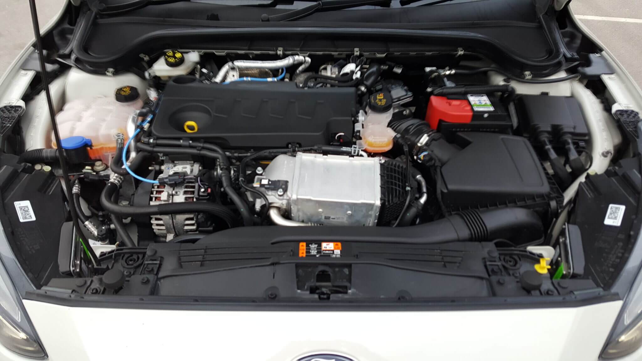 Ford Focus Active First Drive Review: Cross Off the Crossover – GTPlanet