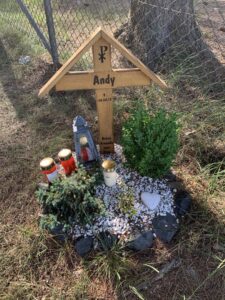 ‘Gran Turismo’ Fact Check: The Real True Story of Jann Mardenborough ...